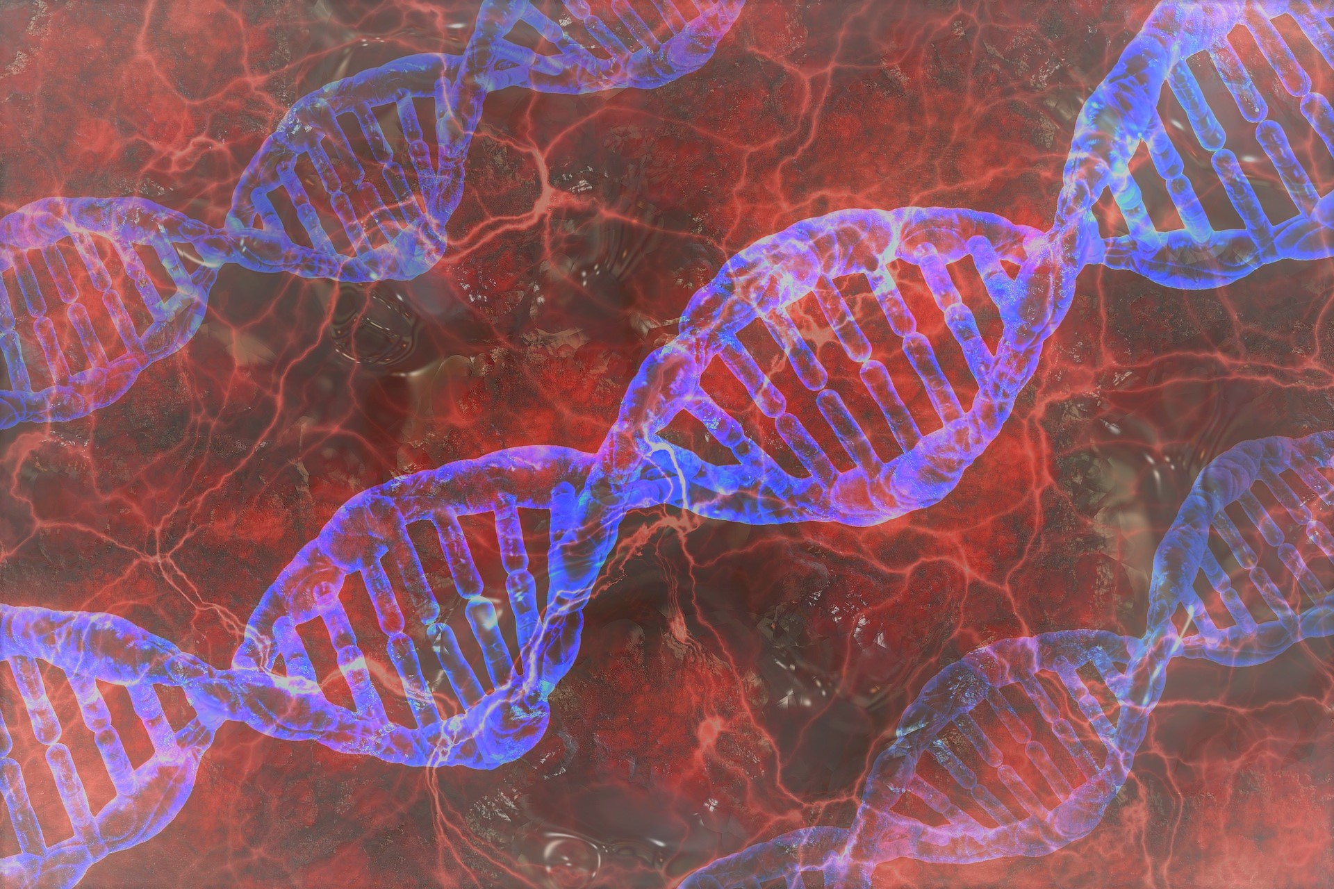 Sample DNA Report – Our Genealogy Story